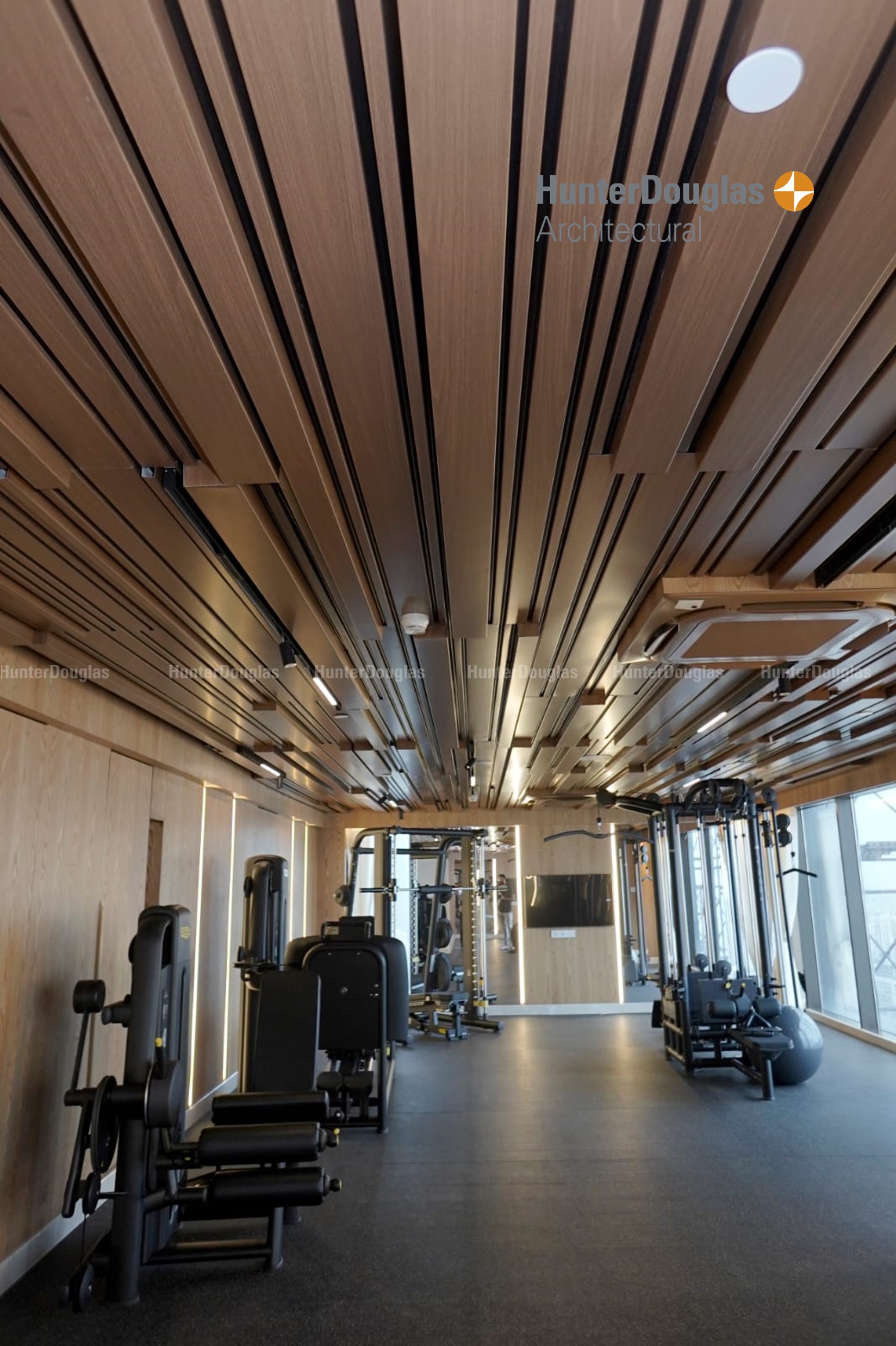 Project - ABIL India